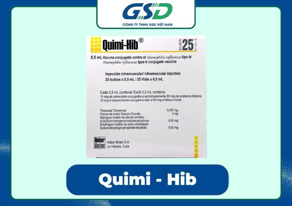 Quimi-Hib - CÔNG TY TNHH GSD VIỆT NAM